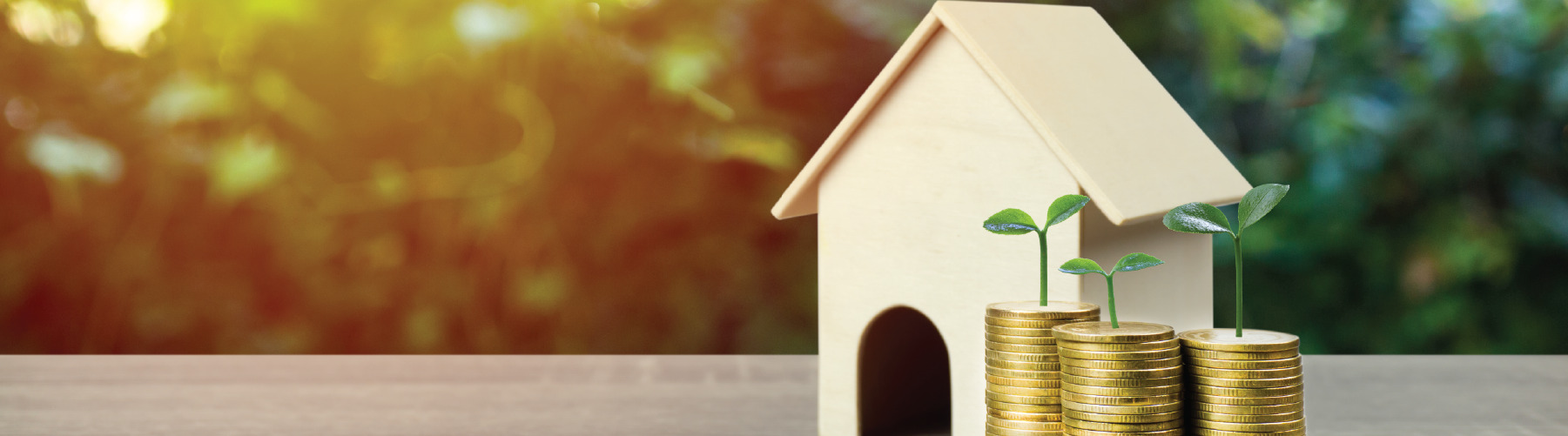 5 Principles of Financial Literacy - Evolve